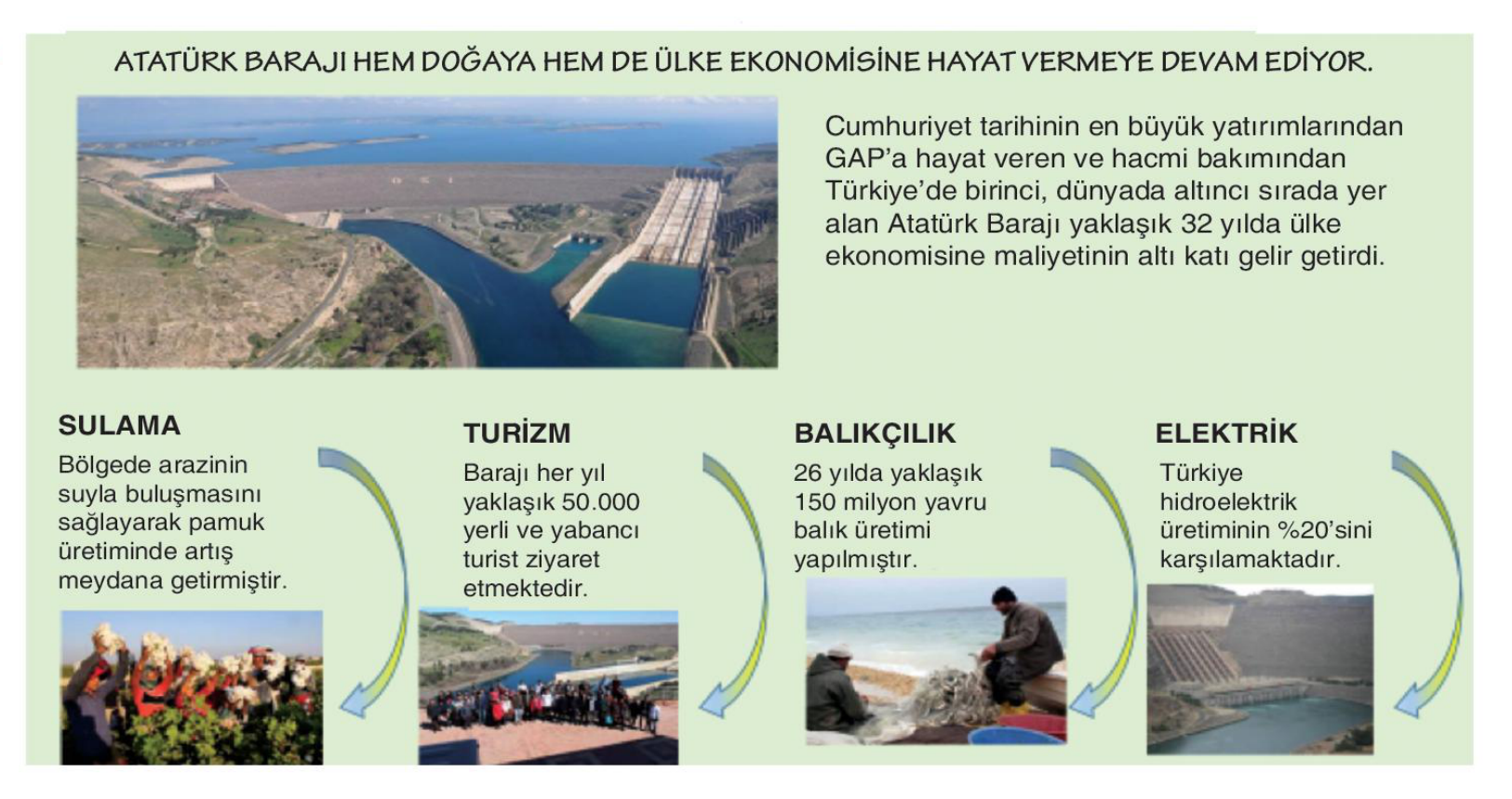 5. Sınıf Sosyal Bilgiler Hayatımızdaki Ekonomi İlimizdeki Ekonomik ...